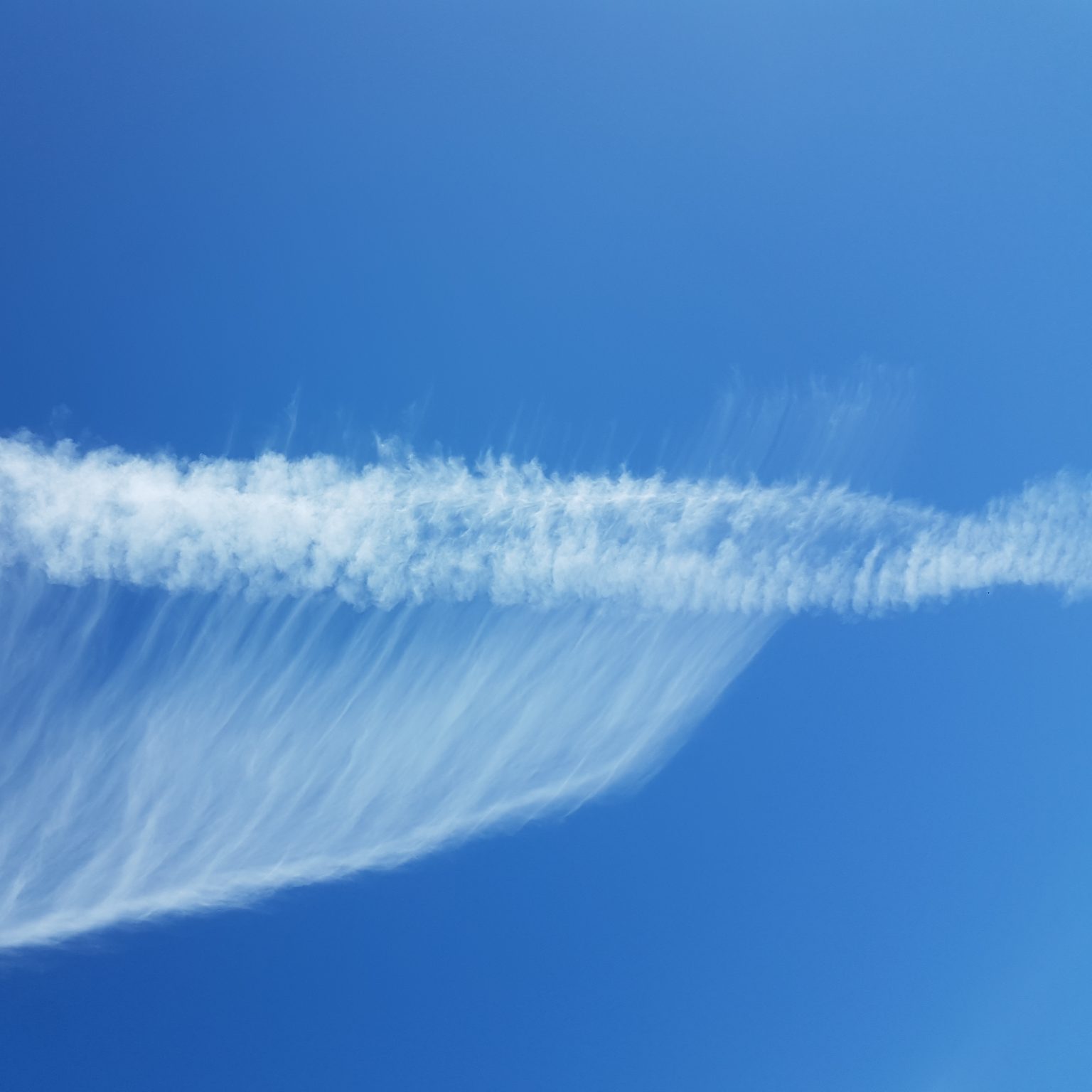 Wohnangebote für Notsituationen Frauenhäuser Wien - ÖPA